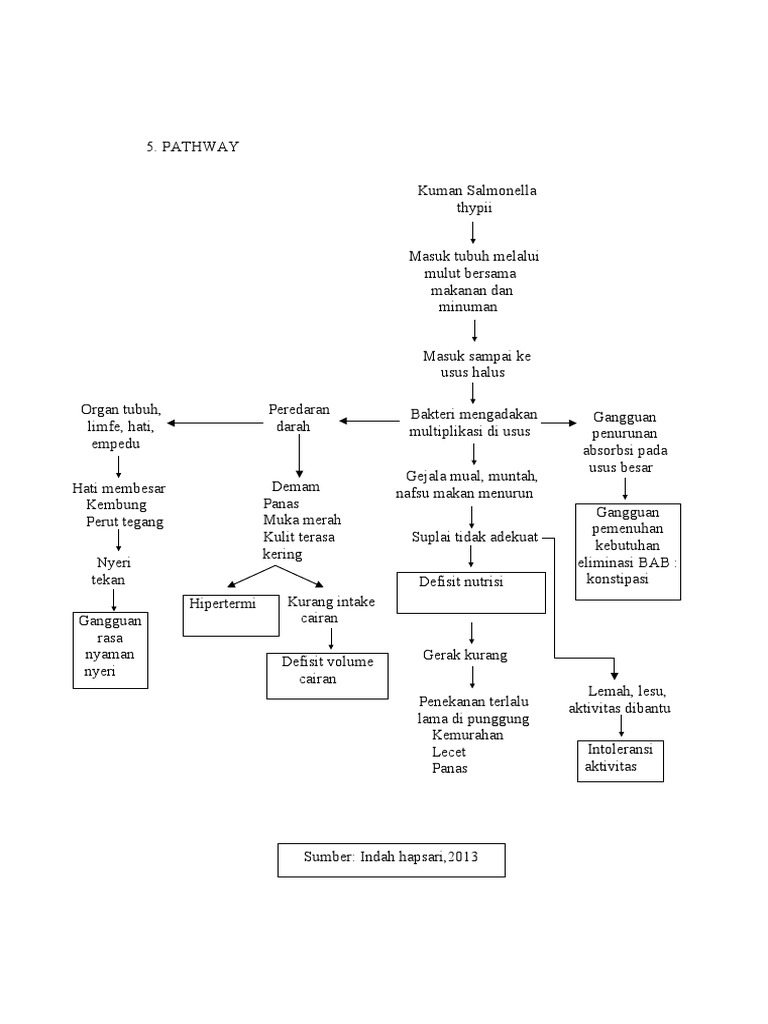 Pathway Thypoid | PDF