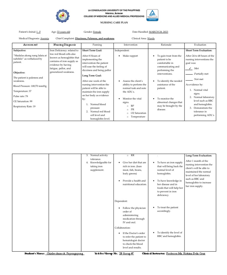 Nursing Care Plan for Iron Deficiency Anemia | PDF | Anemia | Health ...
