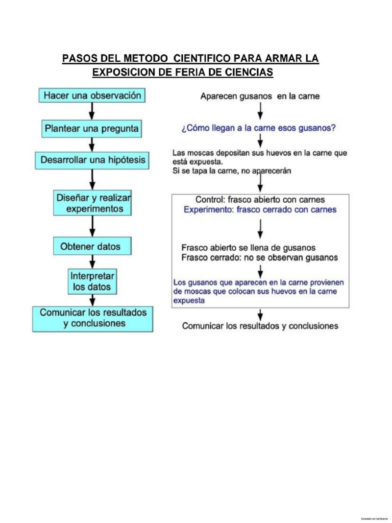 Pasos Del Metodo Cientifico | PDF