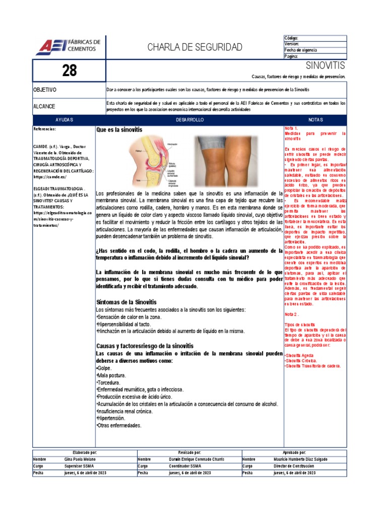 Sinovitis: Causas y Prevención | PDF
