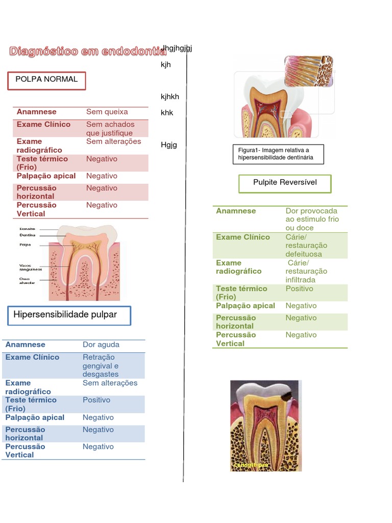 Diagnóstico em Endodontia-Convertido Parte1 | PDF