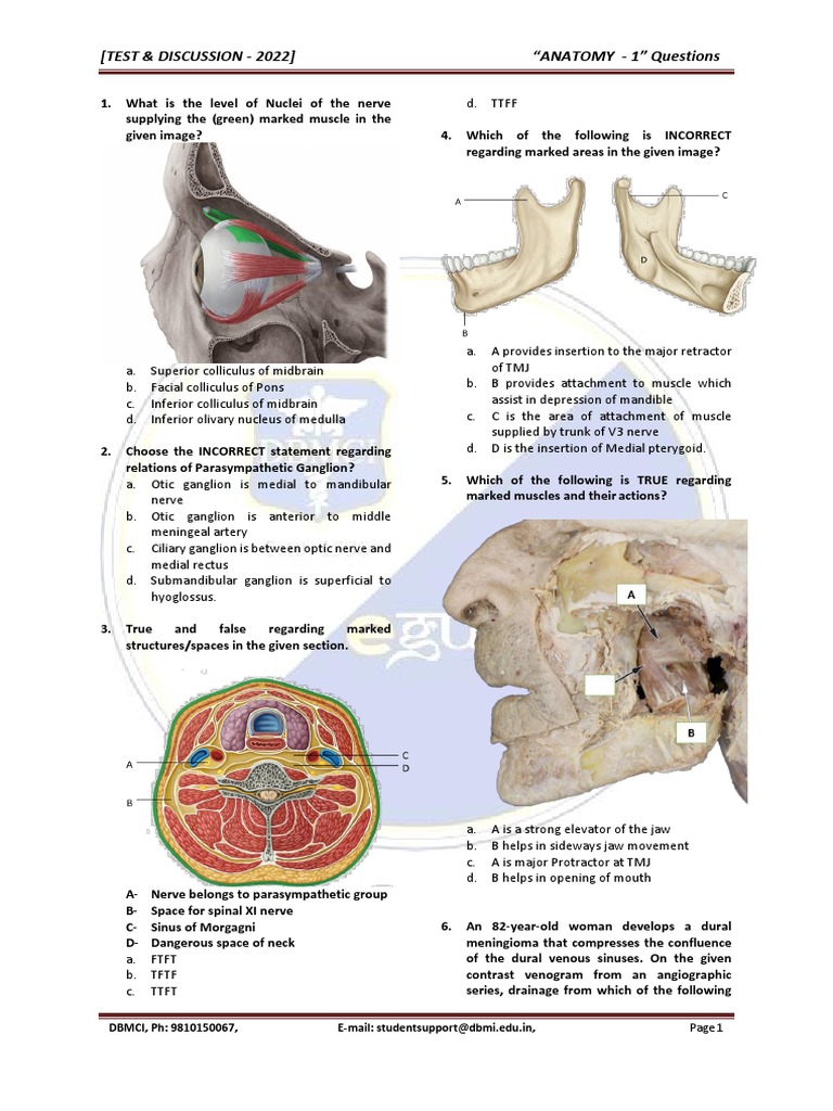 T - D - Anatomy - (Day - 1) Questions PDF | PDF