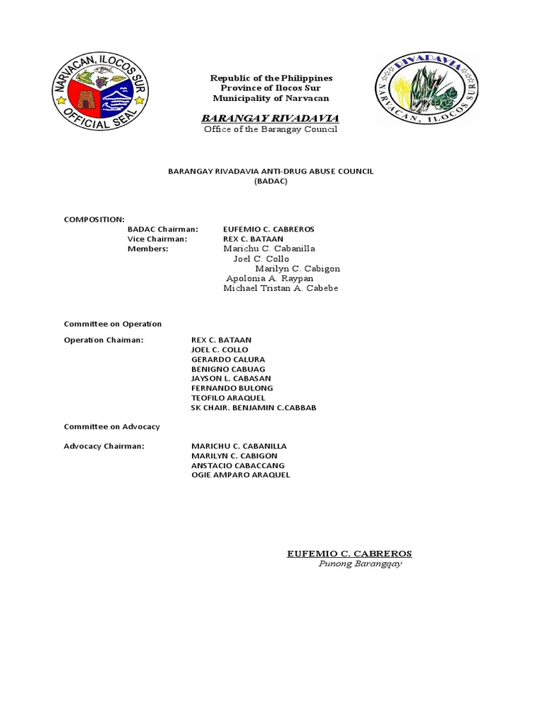 Badac Organization Chart | PDF