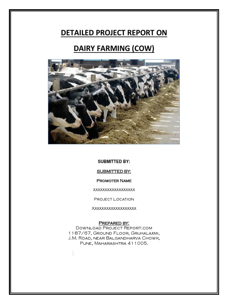 Dairy Farming Project Report Overview | PDF