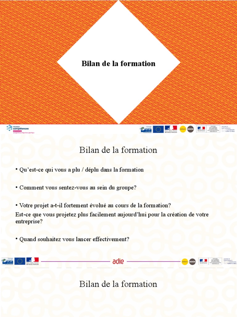 Module Bilan de La Formation VF 27082020 | PDF | Évolution de carrière ...