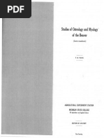 Alpaca Anatomical Atlas | PDF | Pelvis | Human Anatomy