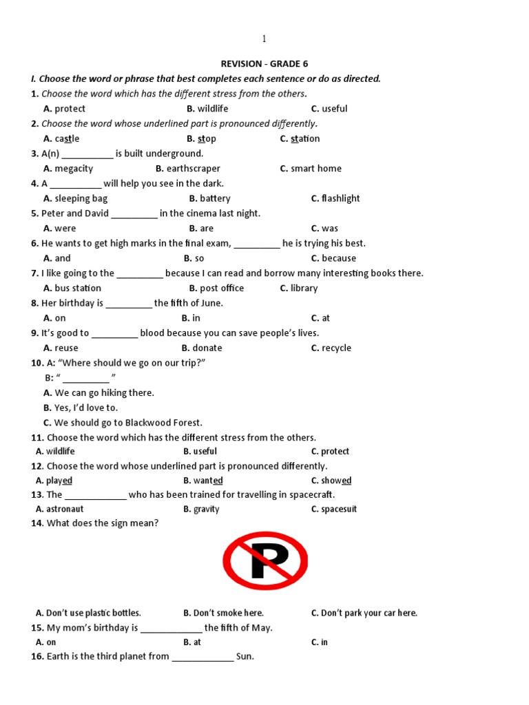Revision Grade 6 | PDF