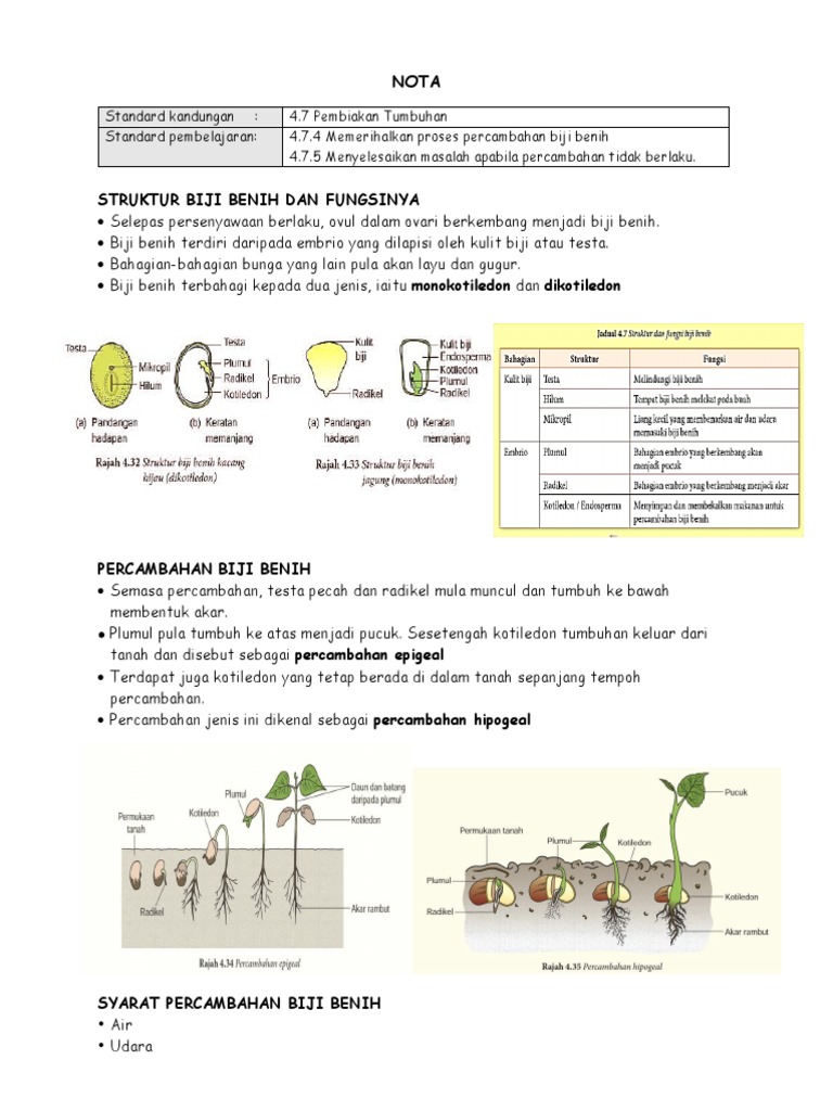 NOTA PBL - 4.7 Pembiakan Tumbuhan | PDF