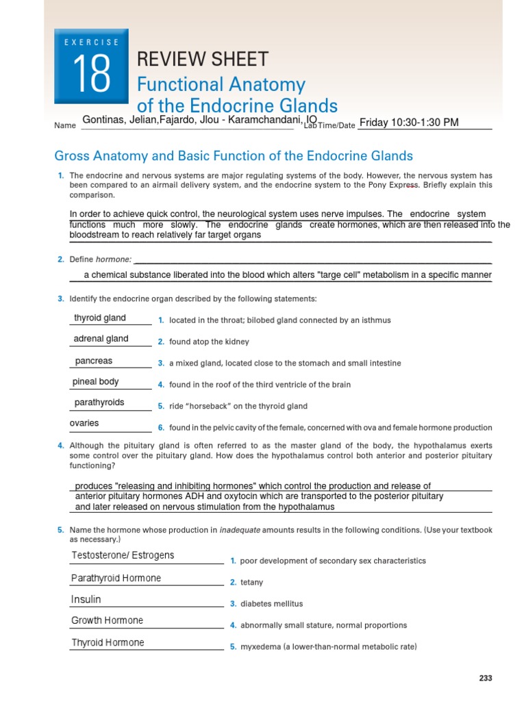Ass - Marieb Review Sheet On Endocrine Glands PDF | PDF