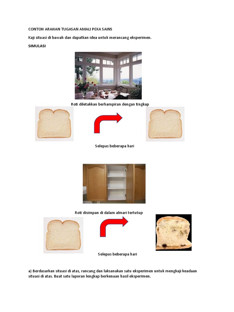 Contoh Arahan Tugasan Peka Sains | PDF