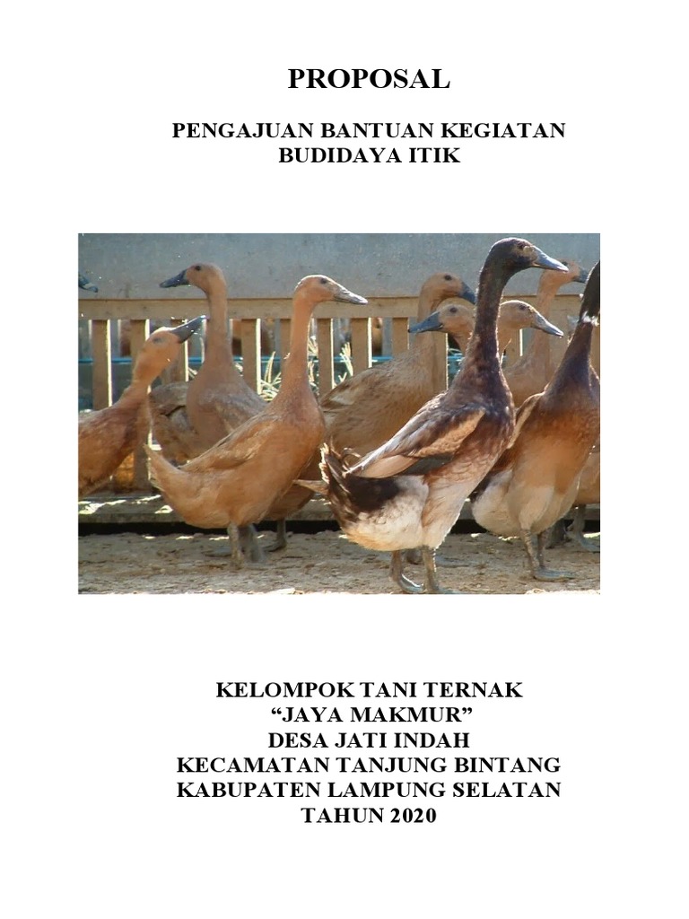Proposal Itik | PDF