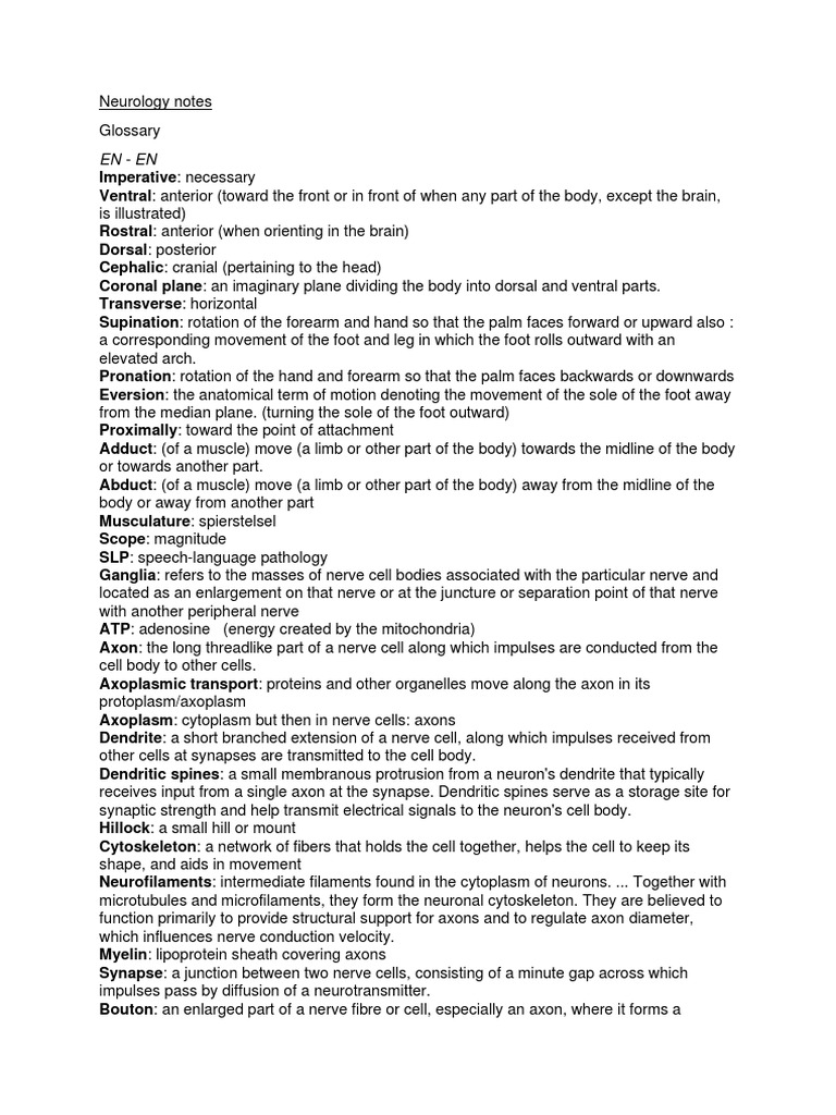 Neurology notes glossary | PDF
