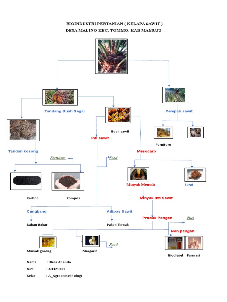 Diagram Kelapa Sawit | PDF