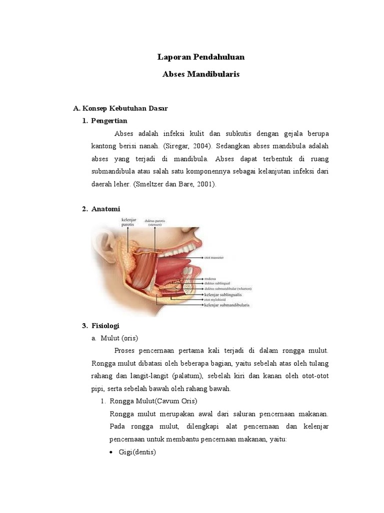 LP Abses Mandibularis.docx | PDF