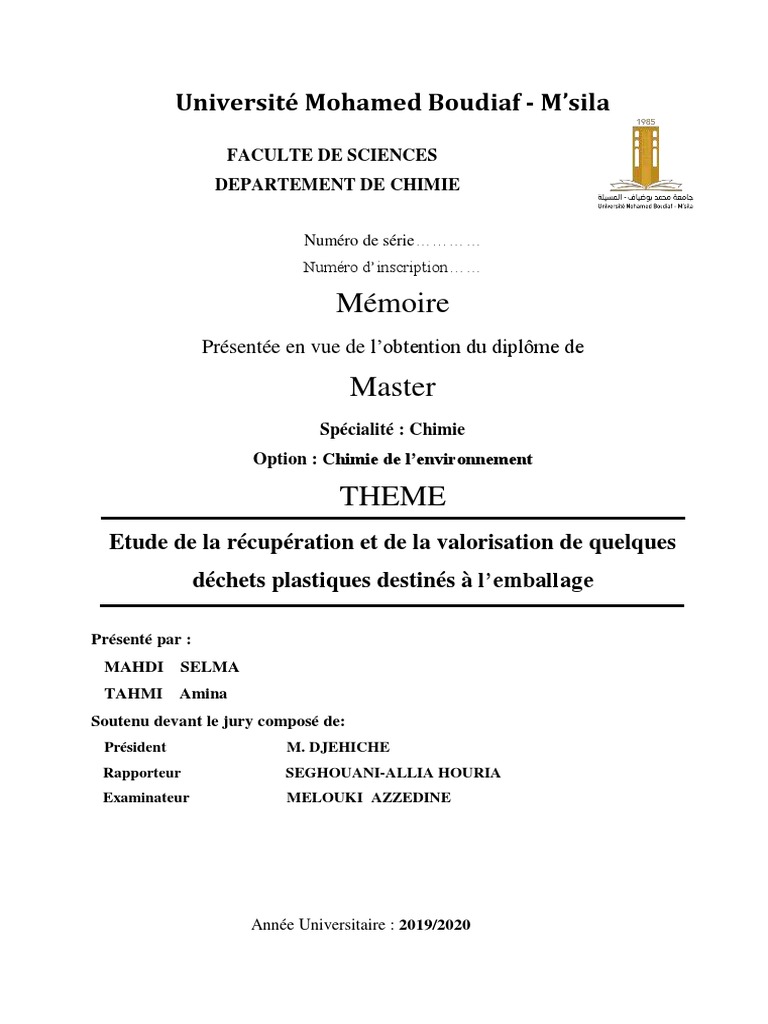 Mémoire Master Final PDF | PDF