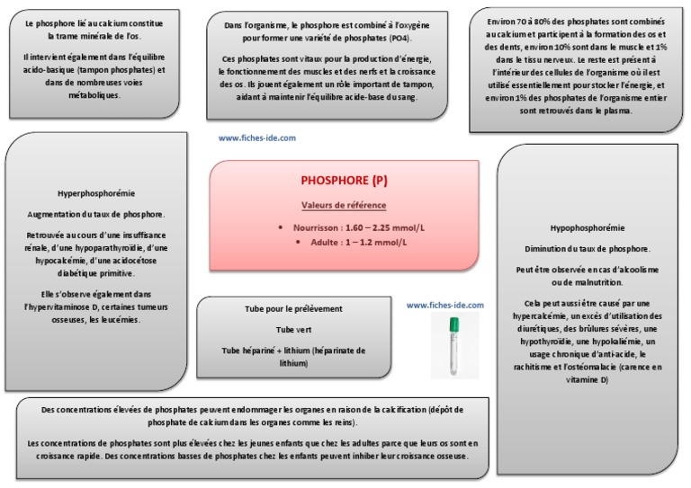 Rôle et taux de phosphore dans l'organisme | PDF | Calcium | Os