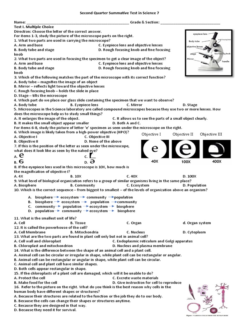 Second Quarter Summative Test in Science 7 | PDF | Reproduction ...