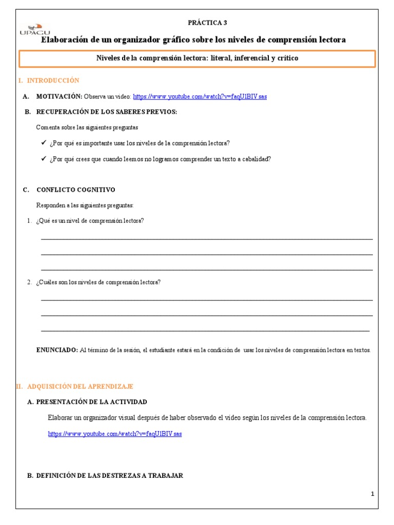 Elaboración de Un Organizador Gráfico Sobre Los Niveles de Comprensión ...