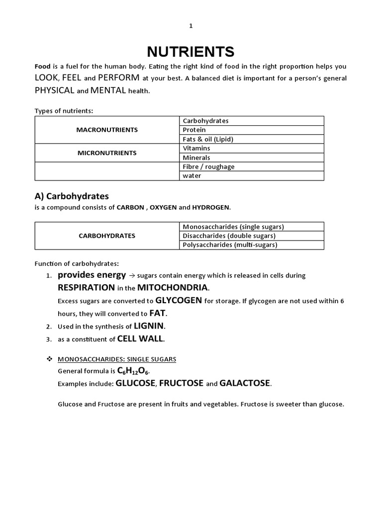 Notes - Nutrition in Mammal | PDF | Digestion | Carbohydrates