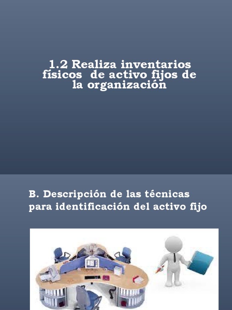 Plaqueo y Etiquetado de Activos Fijos | PDF | Informática