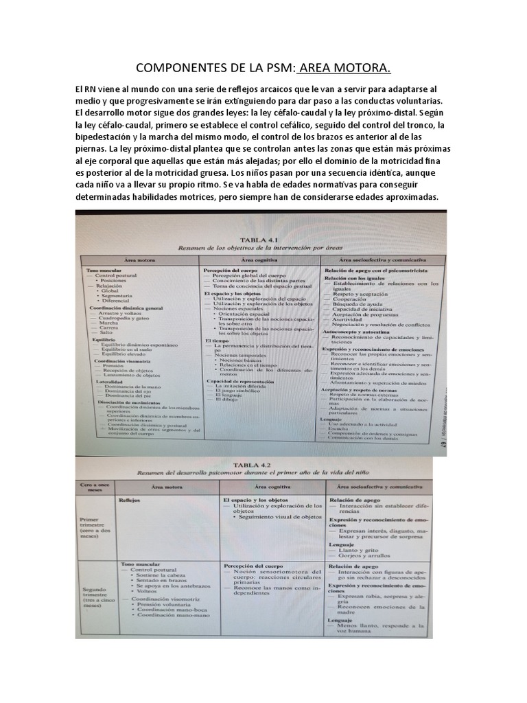 Componentes de La PSM | PDF