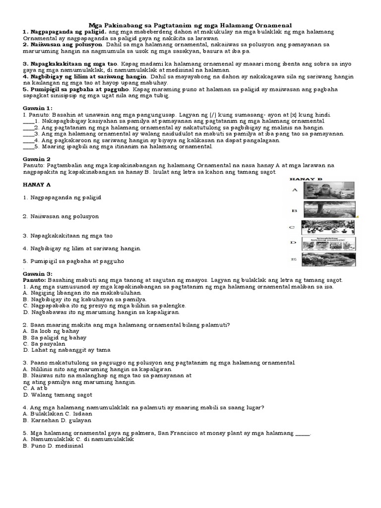 Mga Pakinabang Sa Pagtatanim NG Mga Halamang Ornamenal - Activity Sheet ...
