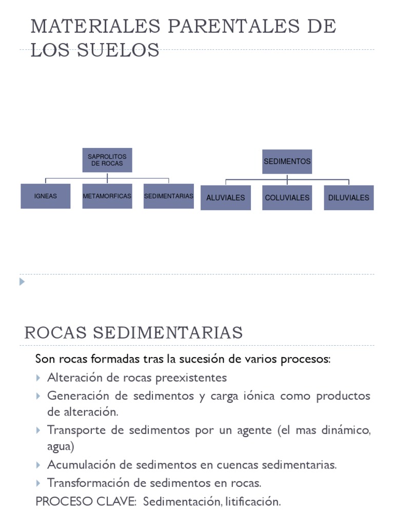 CLASE 7. ROCAS SEDIMENTARIAS.pptx | PDF | Roca clástica | Roca (geología)