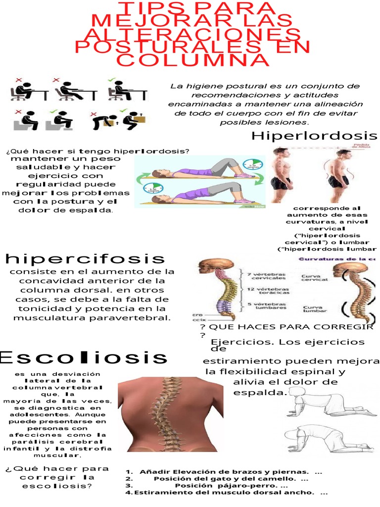 Ejercicios para Mejorar Posturas Columna | PDF