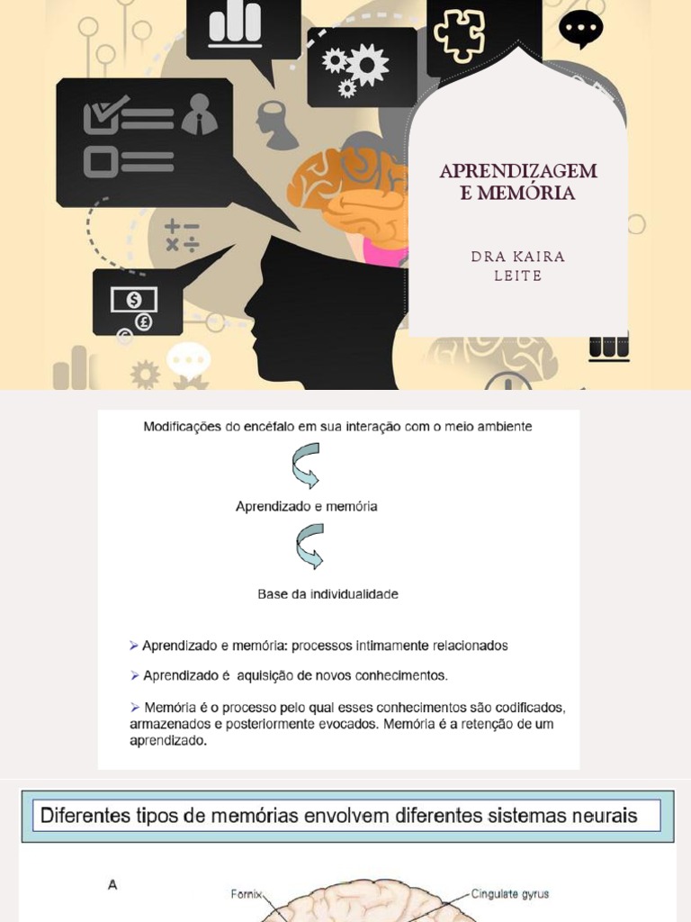 Aula 4. Aprendizado e Memoria | PDF | Memória | Processos mentais