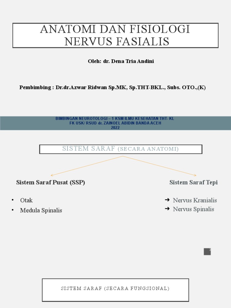 (AZA) Anatomi Dan Fisiologi Nervus Facialis | PDF