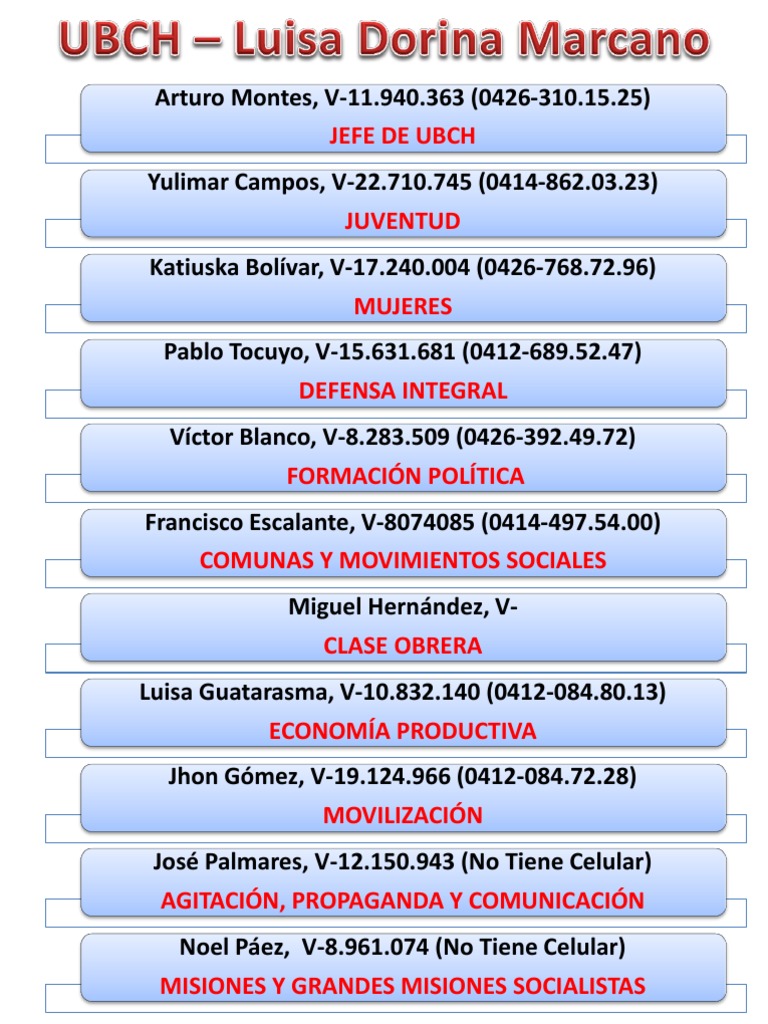 Estructura UBCH | PDF