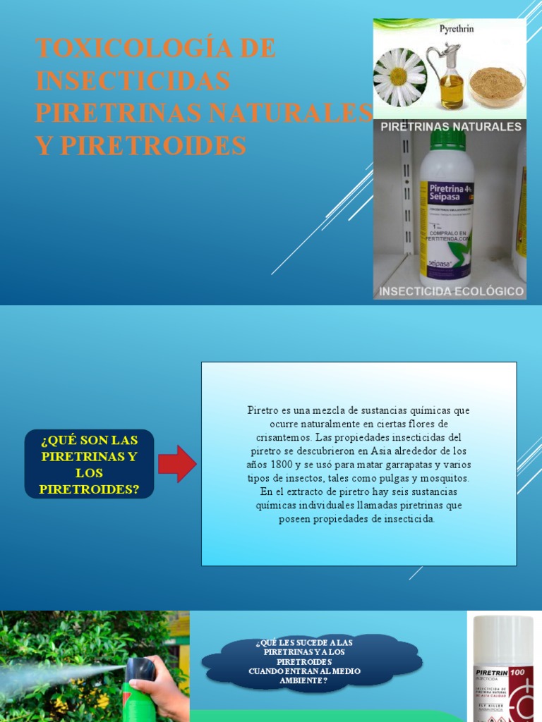 7. Piretrinas | PDF | Insecticida | Especialidades Medicas