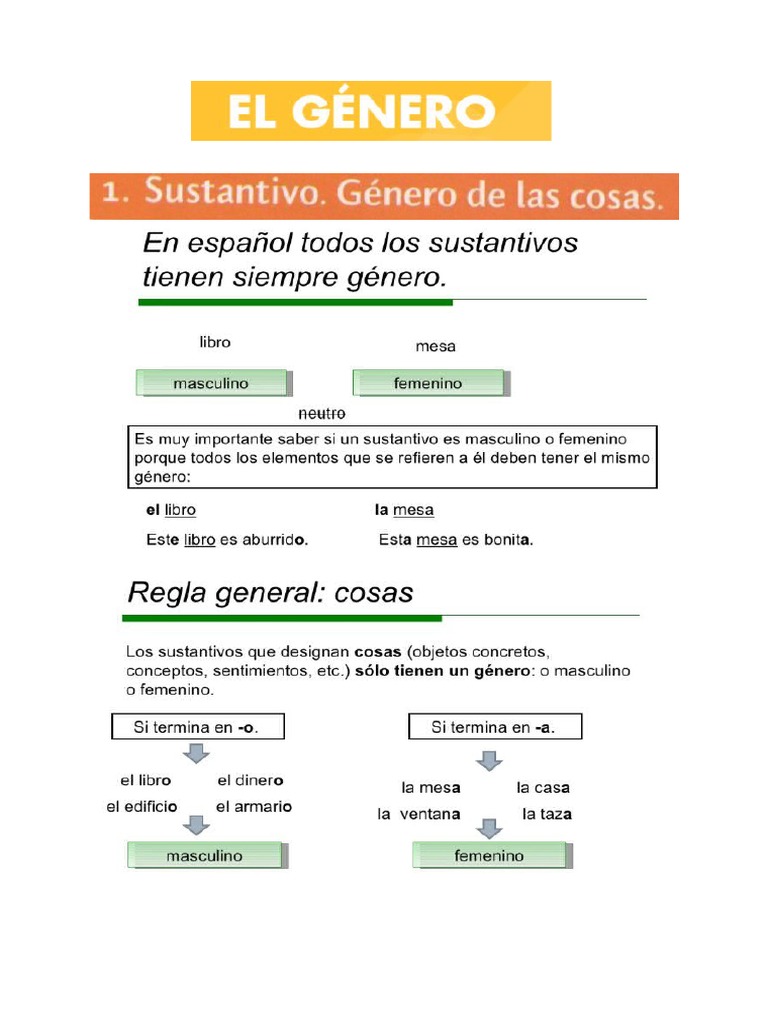 Esquema del género en español usos y excepciones | PDF