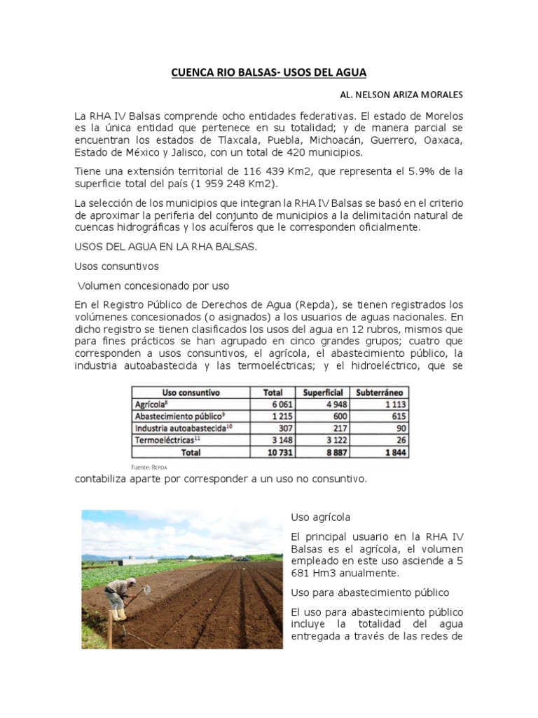 Cuenca Rio Balsas Nelson Ariza | PDF