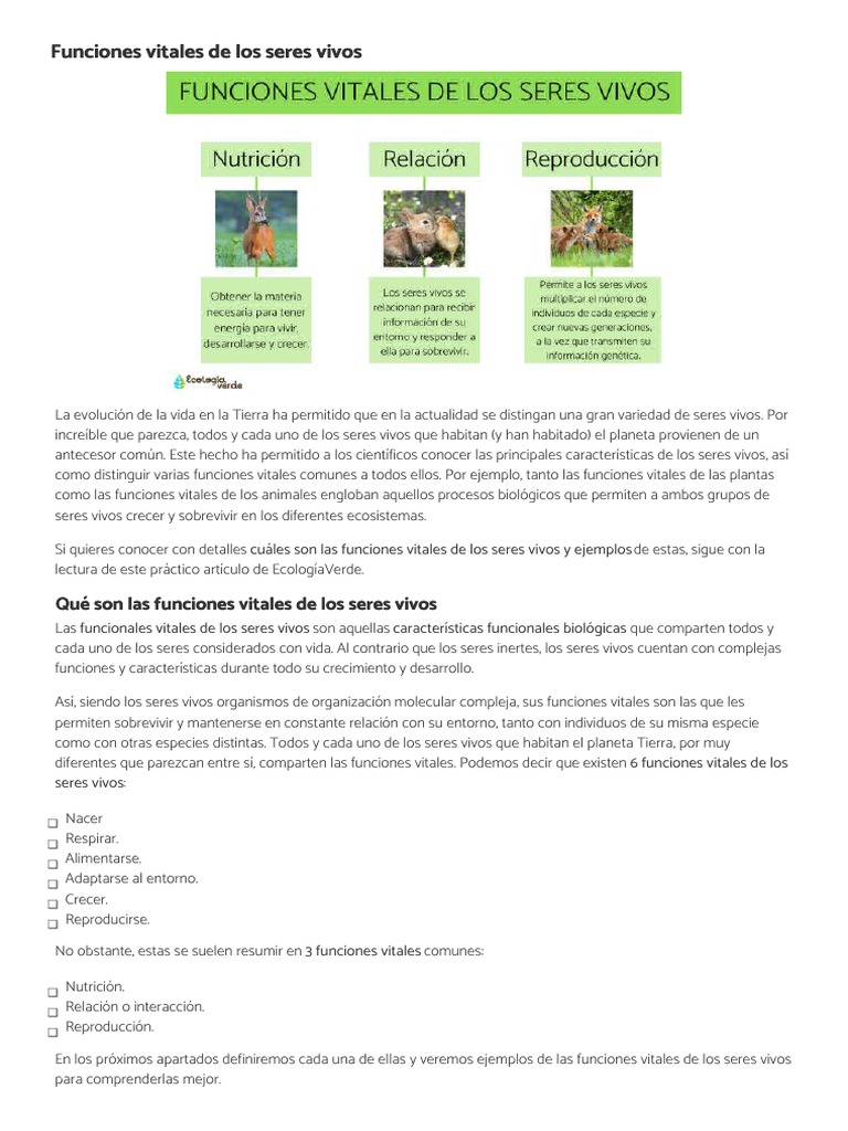 Funciones Vitales De Los Seres Vivos Pdf