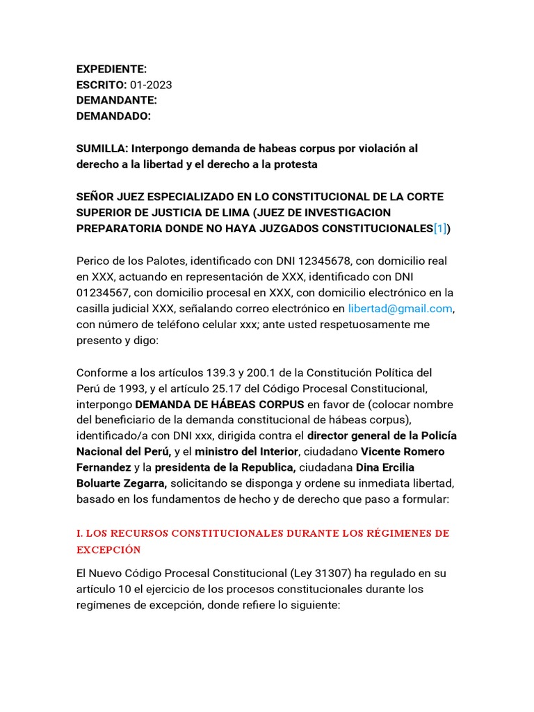 Modelo de Demanda de HC | PDF | Habeas corpus | Demanda judicial