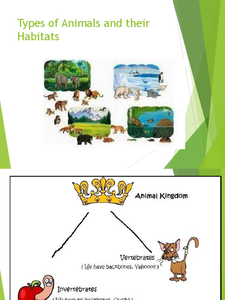 Animal Types and Their Habitats Guide | PDF | Social Science | Science ...