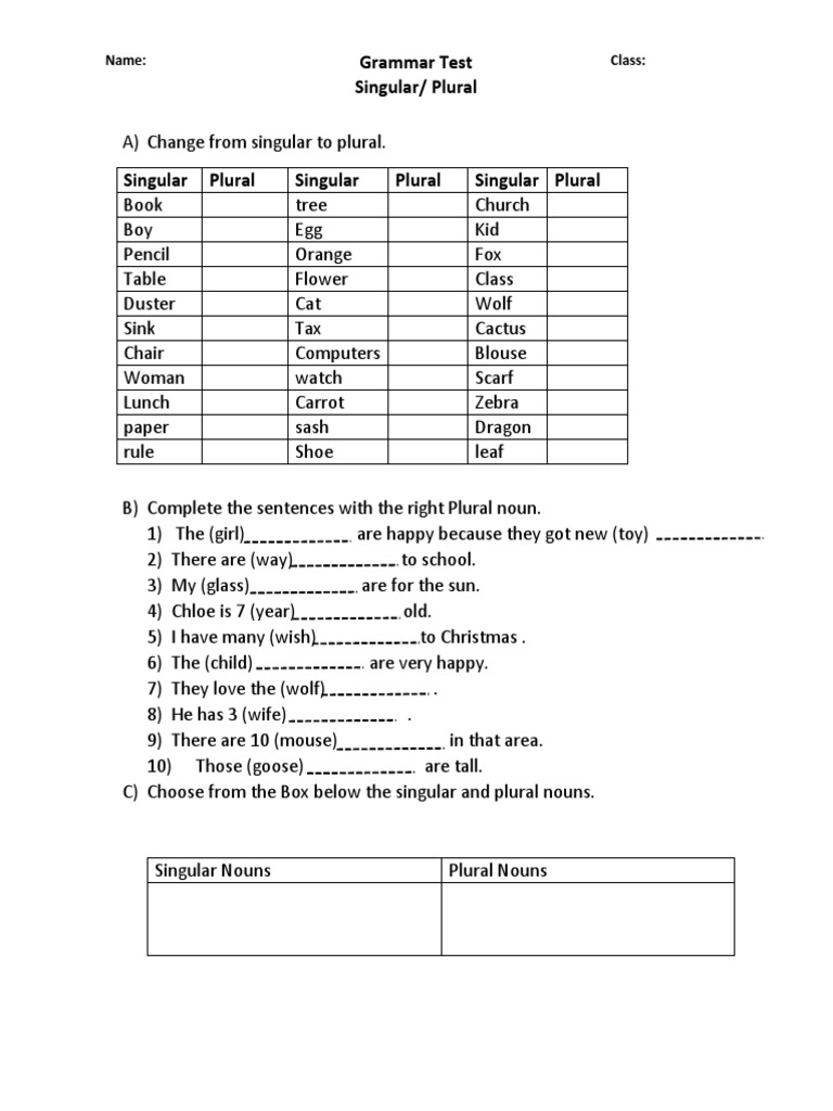 Grammar Test - Singular-Plural | PDF
