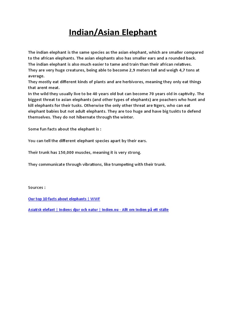 Indian Elephant | PDF