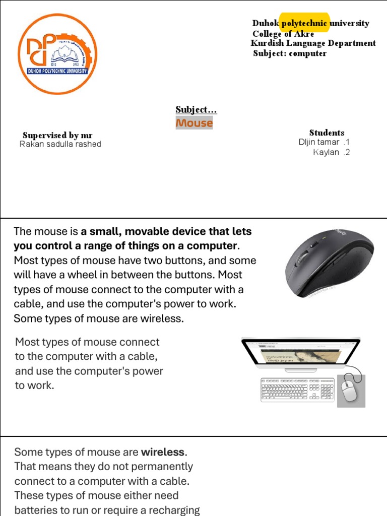 Mouse 1 | PDF