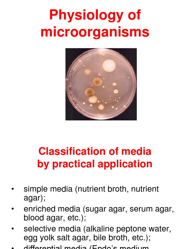 Practice Physiology of Microorganisms | PDF | Growth Medium | Colony ...