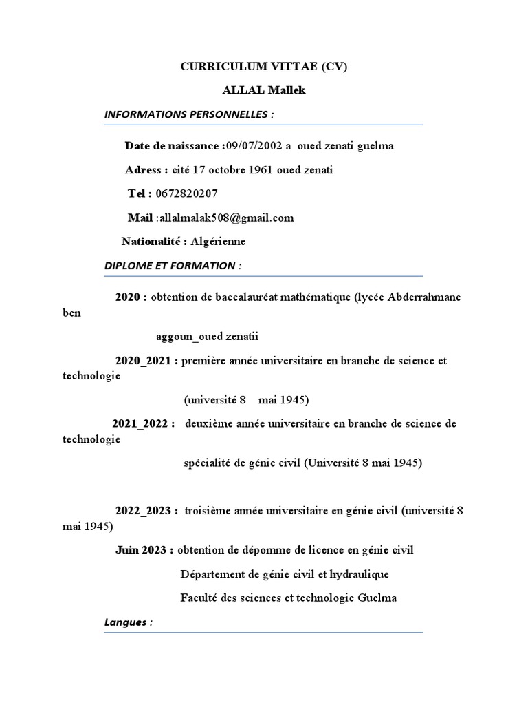 Curriculum Vittae | PDF