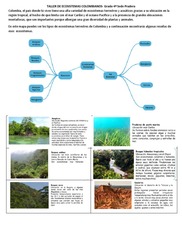 Ecosistemas de Colombia | PDF