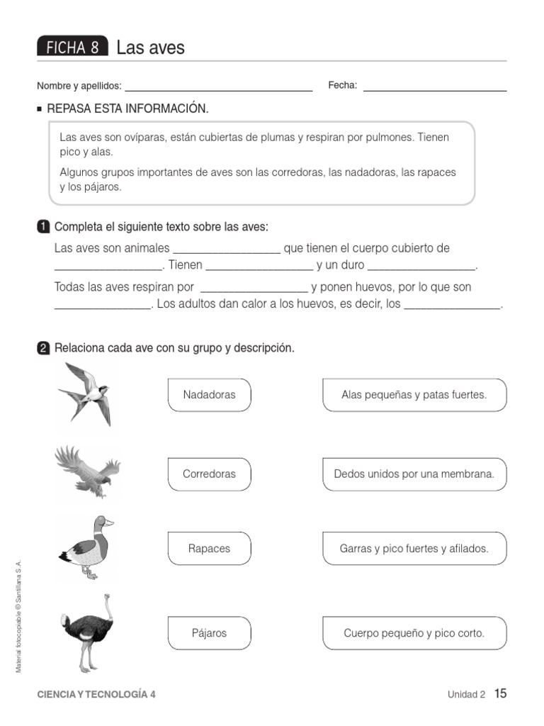 U2.S04. (Práctica) Las Aves PDF | PDF