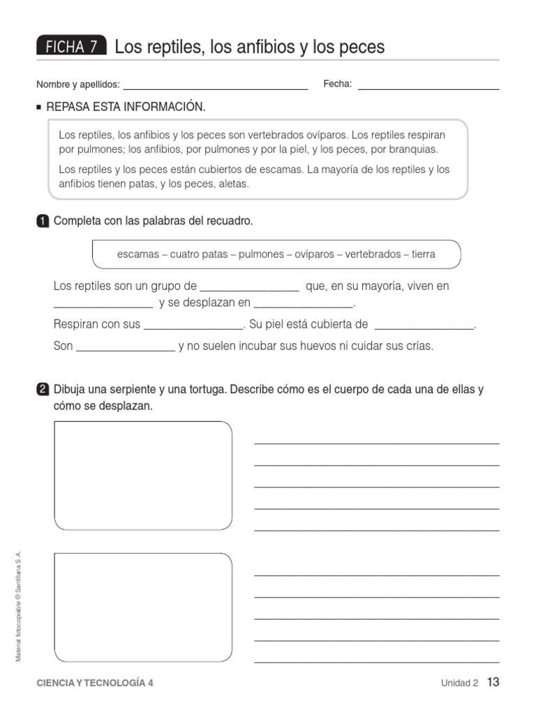 U2.S04. (Práctica) Los Reptiles, Los Anfibios y Los Peces 21-04-23 PDF ...