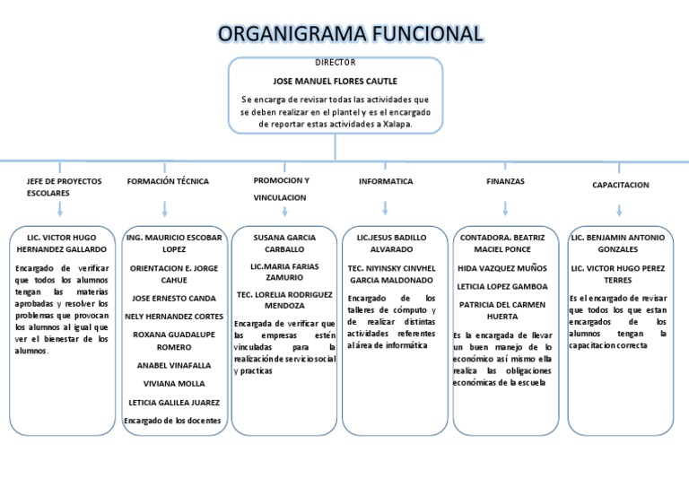 Organigrama Funcional PDF | PDF