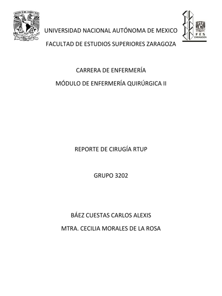 Resección Transuretral de Próstata (RTUP): Descripción de la técnica ...