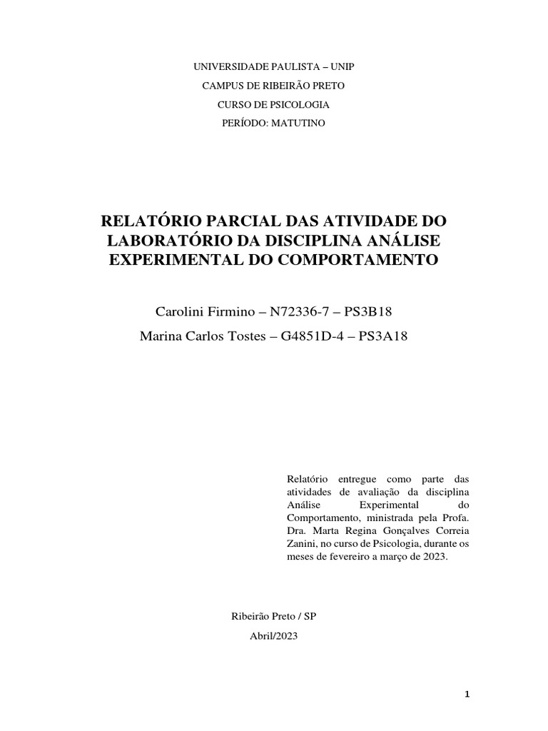 Relatório Parcial NP1 Final.pdf | PDF
