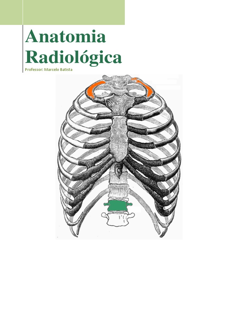 Manual Anatomia Radiolc393gica PDF | PDF | Estudos de Línguas ...