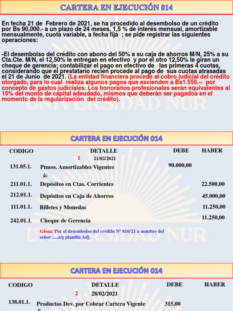 Cartera en Ejecución MN PDF | PDF